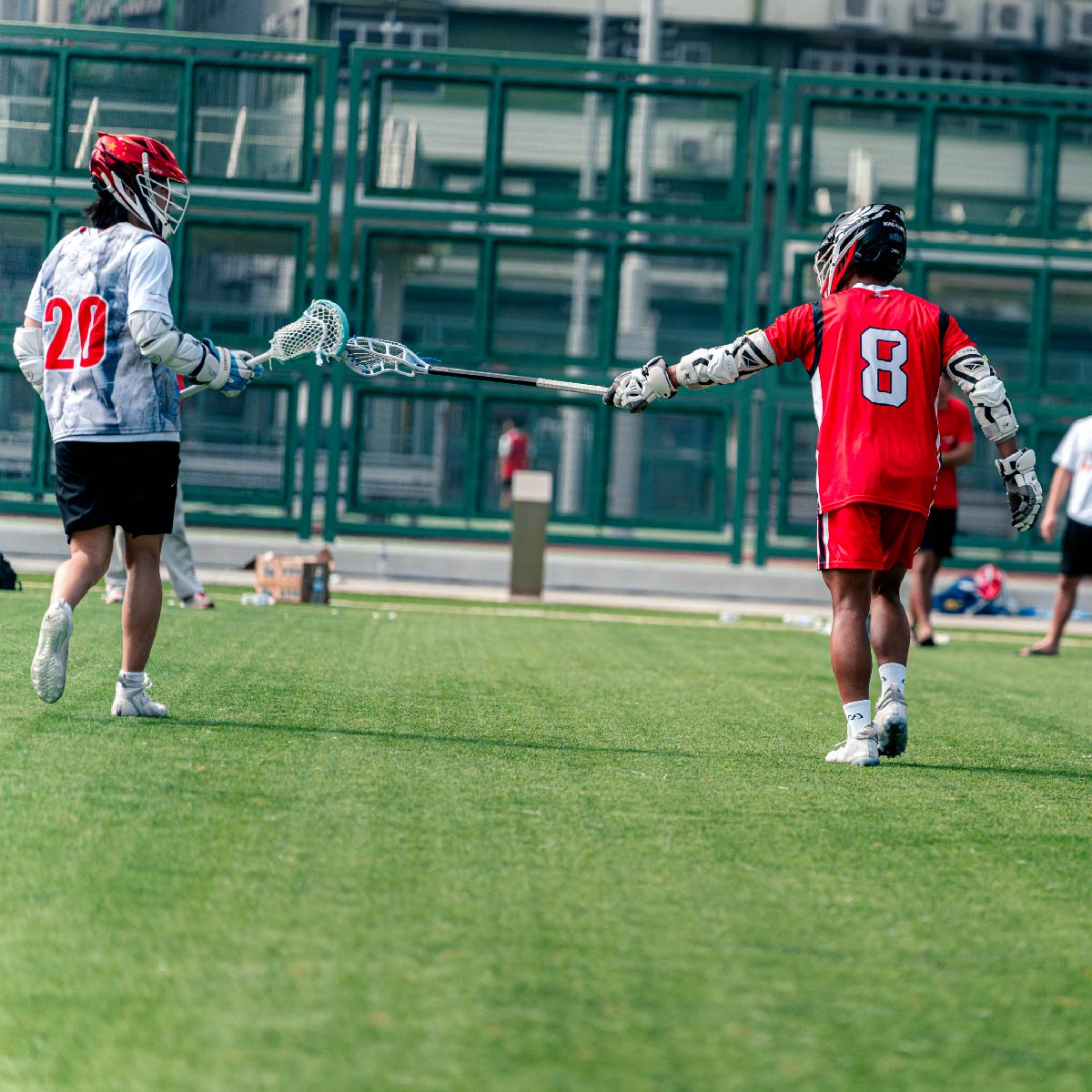 The Ultimate Guide to Lacrosse Sticks and Balls | Gym Aesthetics – Gym ...